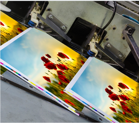 Offset Print